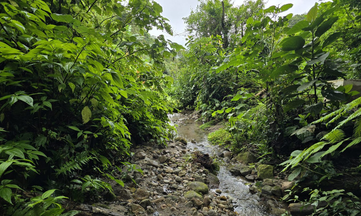 Mix 2h – Latin House – Afro House 2026. Afrotech – DJ Evasion – Panamá ...