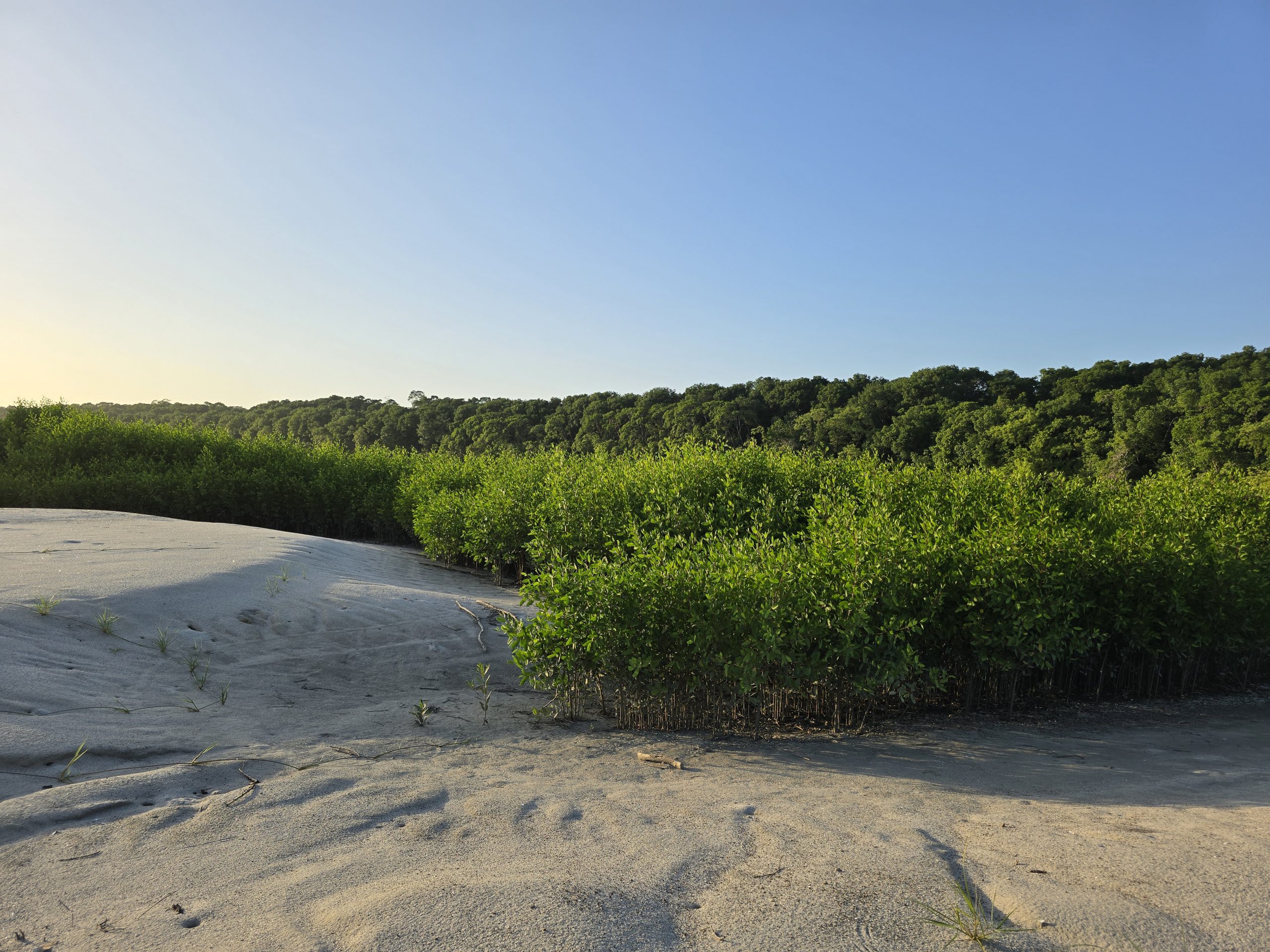 Playa Juan Hombrón, Boca Nueva, El Chirú, Coclé, Panamá – GAUTIER Jeremy